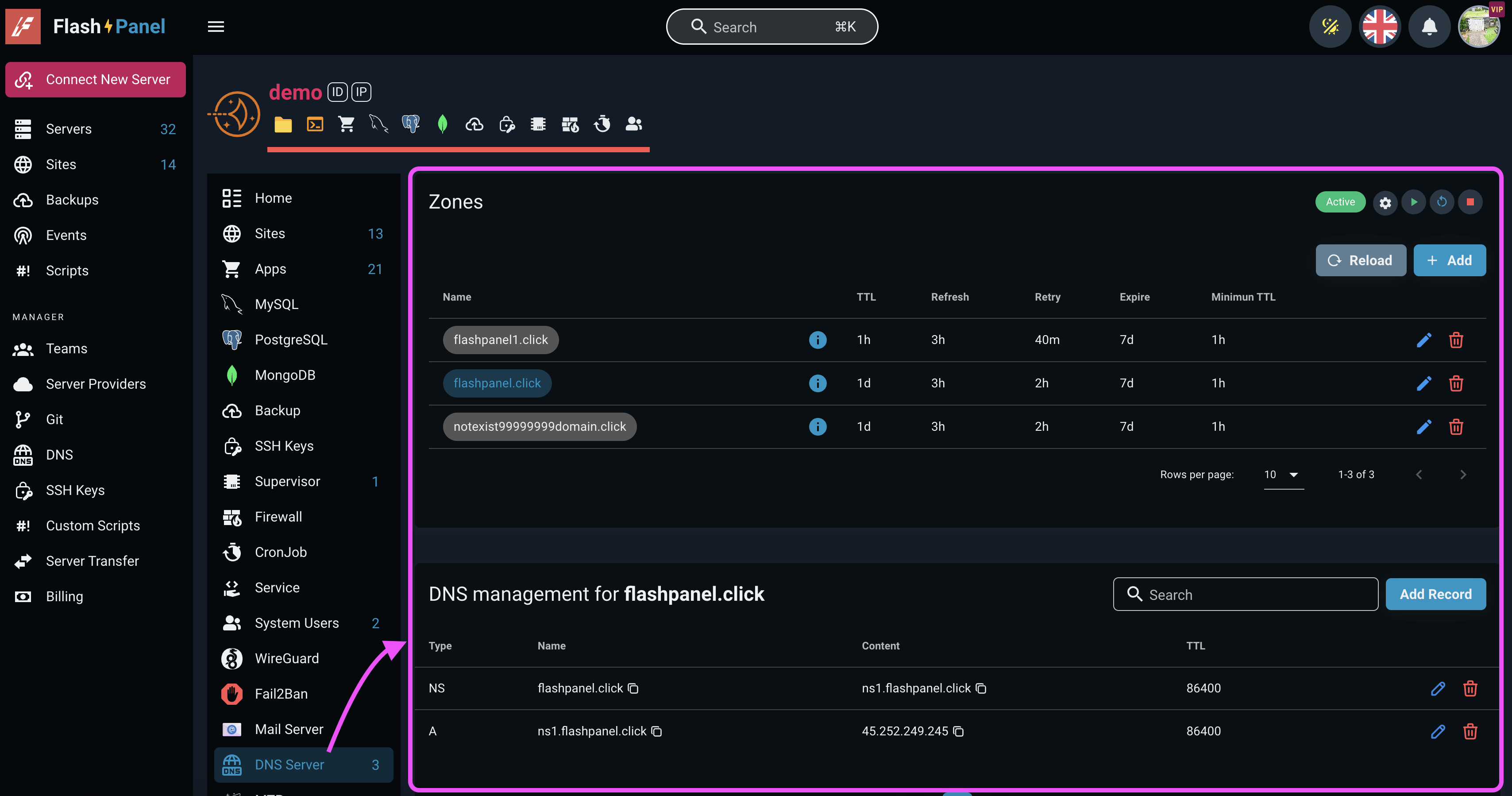 DNS Server | FlashPanel